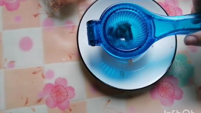 Измельчитель из давилки (N) '2025