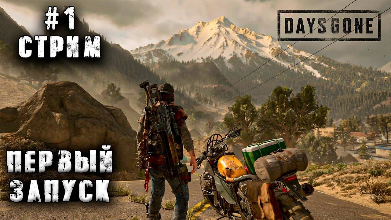 Days Gone Прохожу в первый раз !