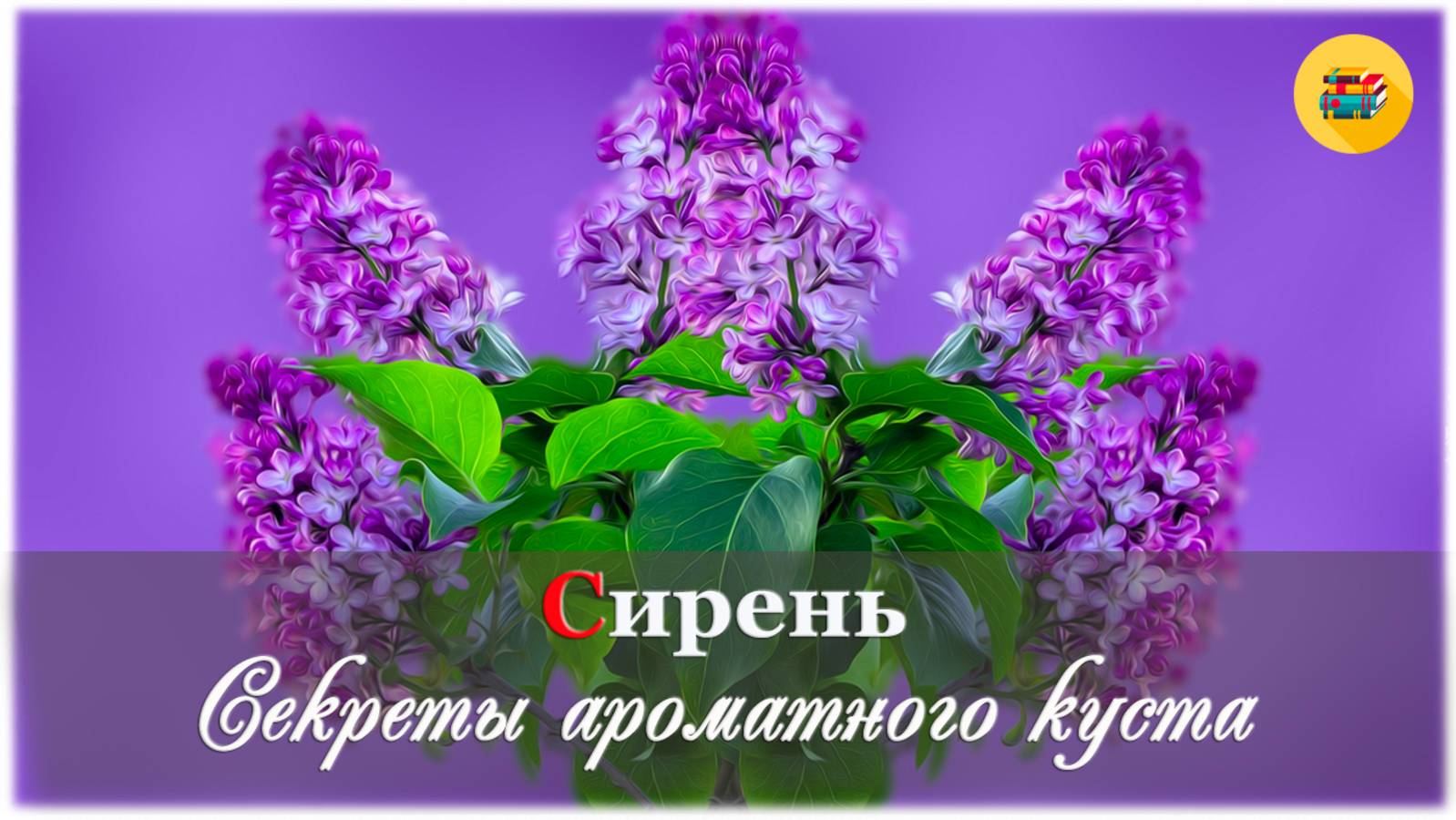💜 Сирень: секреты ароматного куста | Познавательное видео для детей