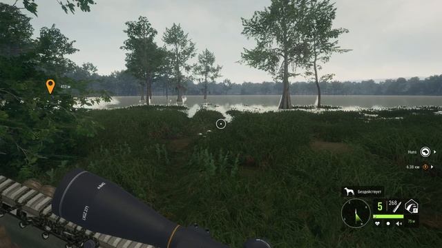 Охота на крокодила.