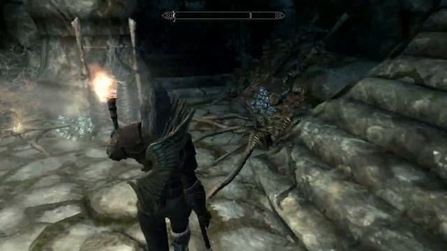 Скайрим. Коллекция насекомых в банках.