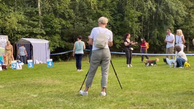 Первый фестиваль породы КХС. Конкур костюмов.