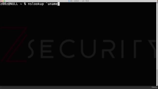 16. Using Burp Collaborator to Exploit Asynchronous Blind Command Injection