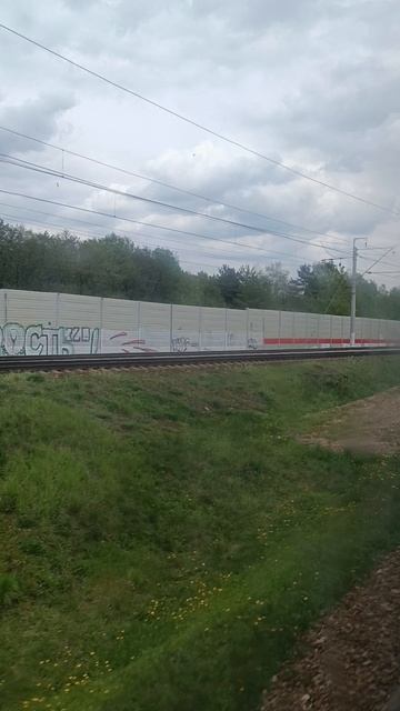 Мчу на ОРХИДИУМ 🚄