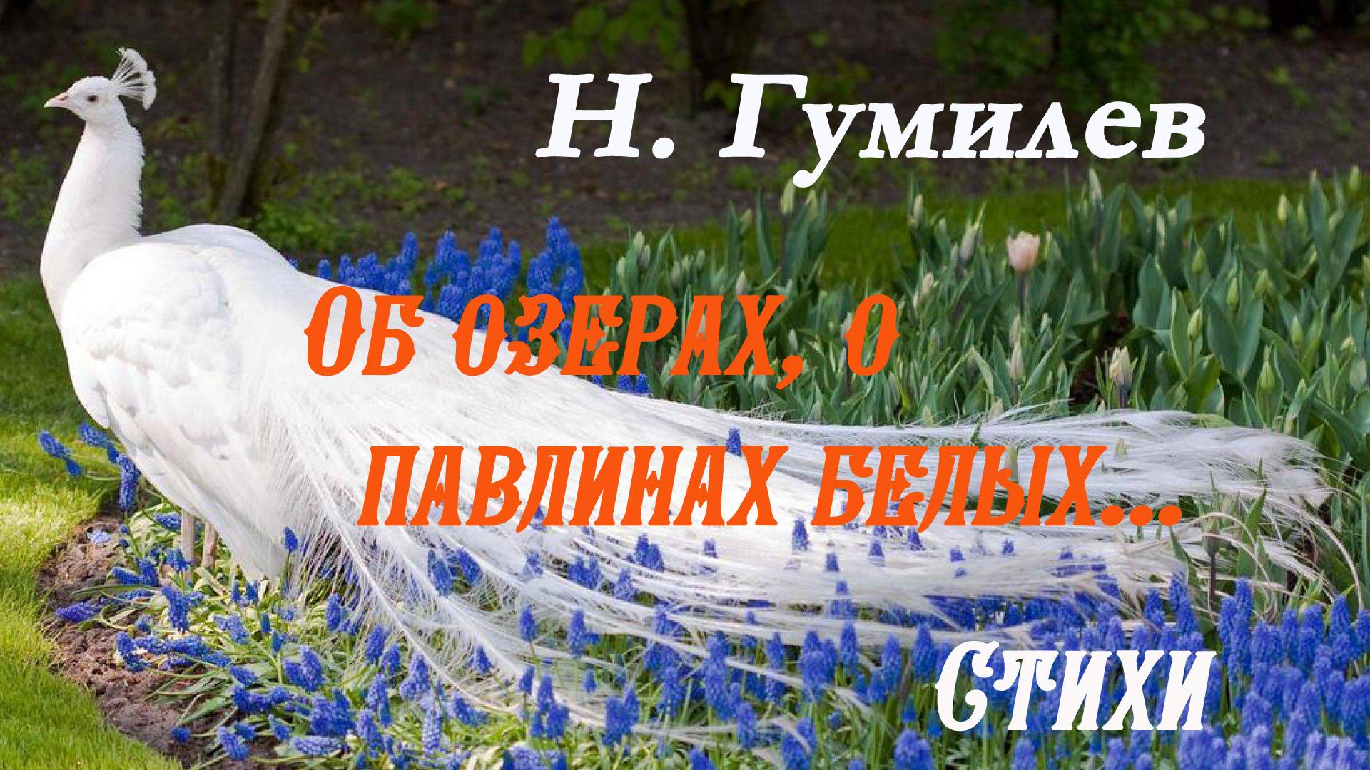 Николай Гумилев- Об озерах, о павлинах белых... Четыре стиха о любви.