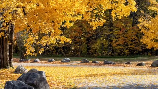 Расслабляющая акустическая музыка для снятия стресса, помогающая справиться с тревогой, депрессией