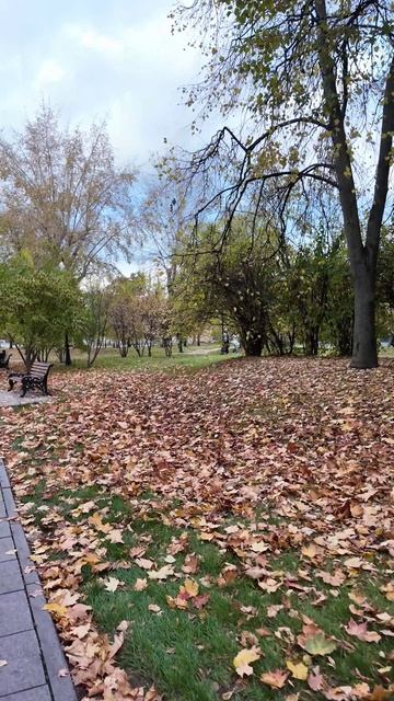 Быстрый взгляд на Москву #shorts #russia #россия #прогулка #москва #moscow