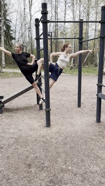 Шведская стенка