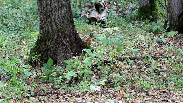 Спасибо вам за женщин небеса Юрий Мартишин