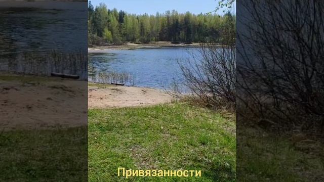 Привязанности Роберт Адамс