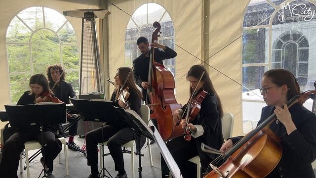 Shape of you - Оркестр "Moscow City" п/у Владимира Яцкевича / Заказать cтрунный оркестр