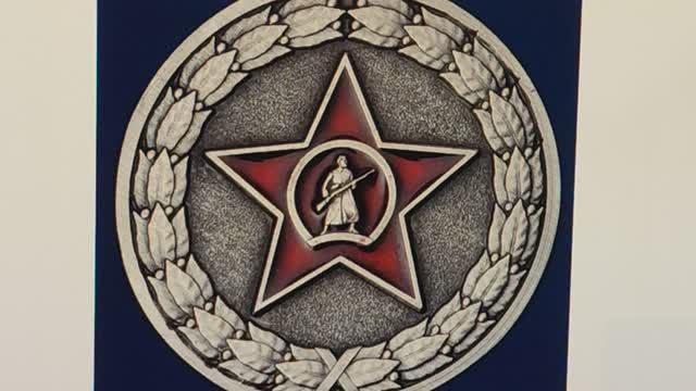 Сколько выплат положено за медаль "Участнику специальной военной операции"