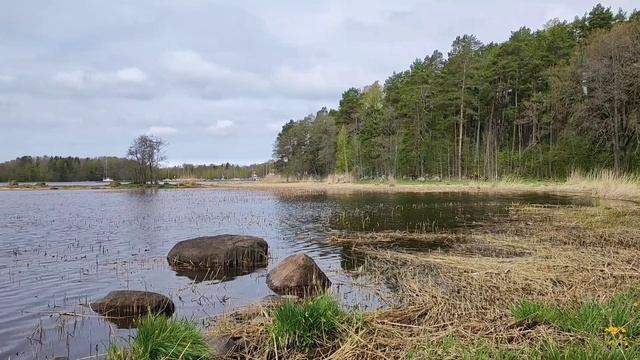 17 мая 2025 поселок Советский порт Йоханнес