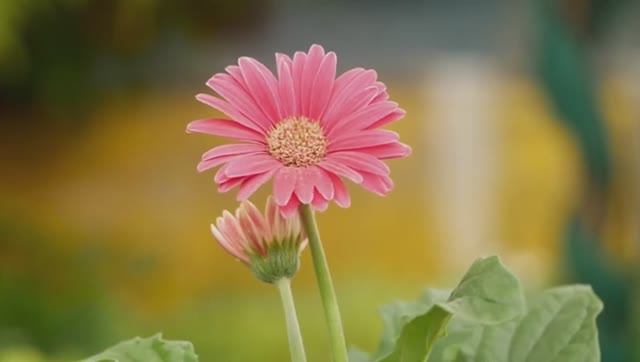 Расслабляющая музыка для сна, Релакс, Спокойная музыка слушать