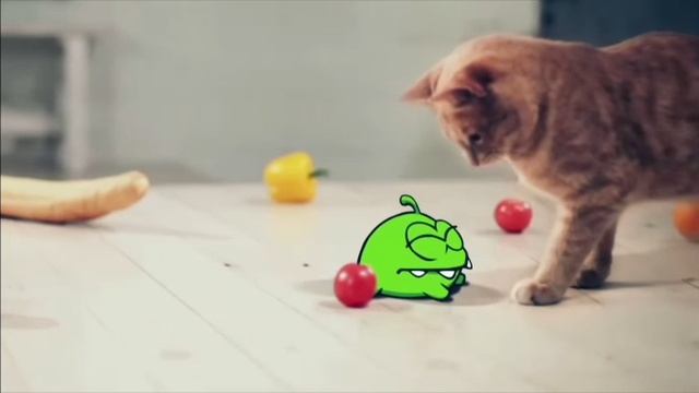 ам ням и кот