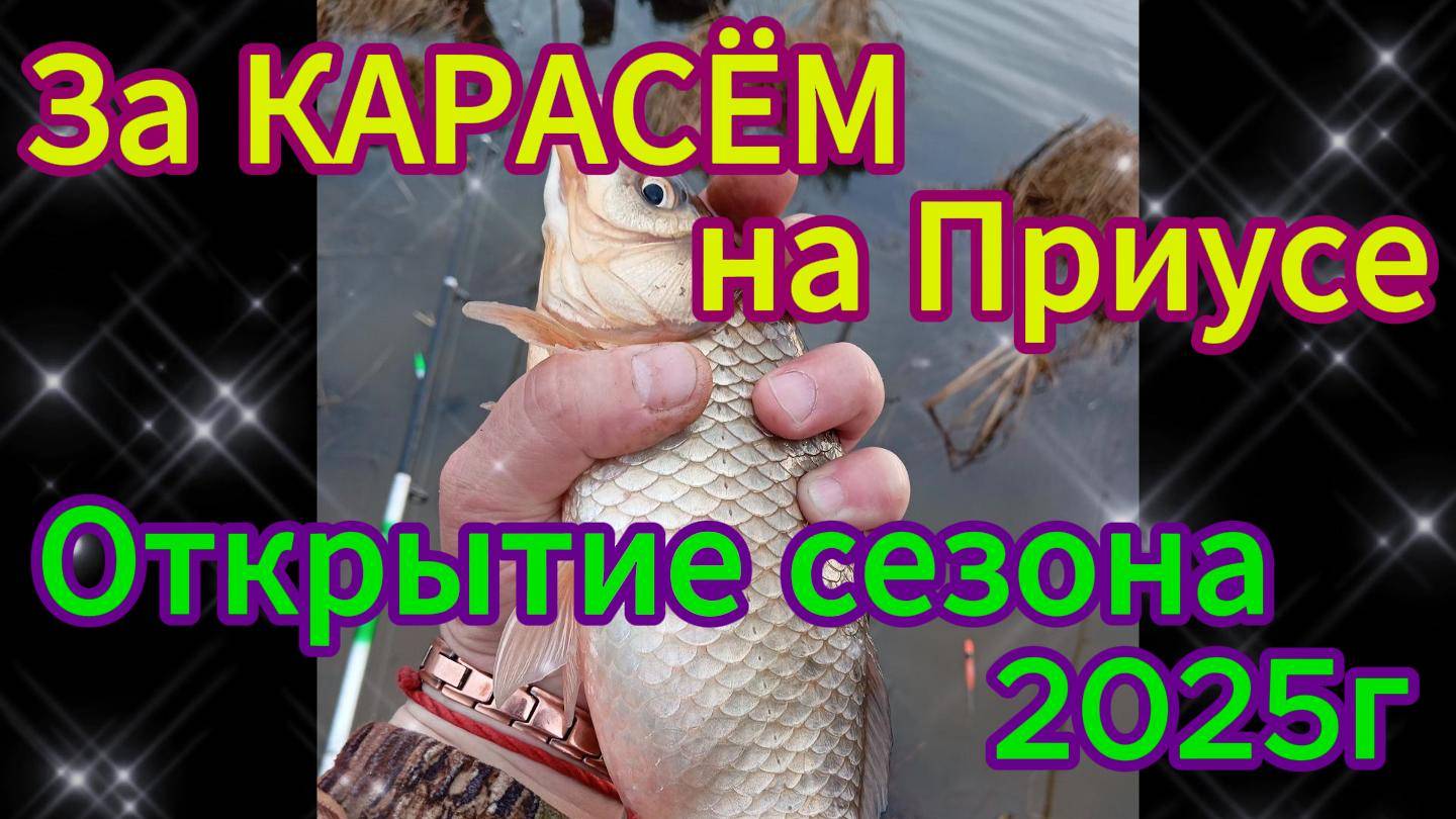 На Тойоте Приус к карасю Открытие рыболовного сезона.