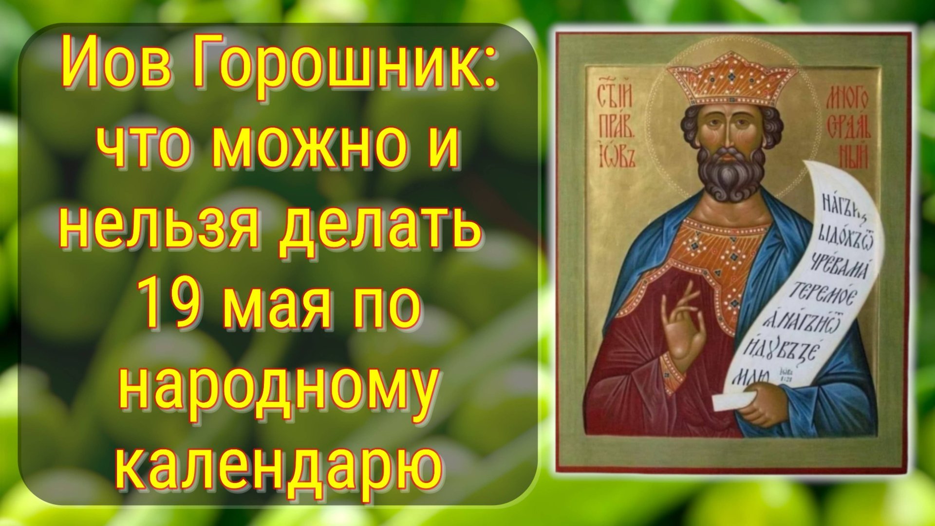 Народные приметы 19 мая 2025: что можно и нельзя делать в День Иова Горошника
