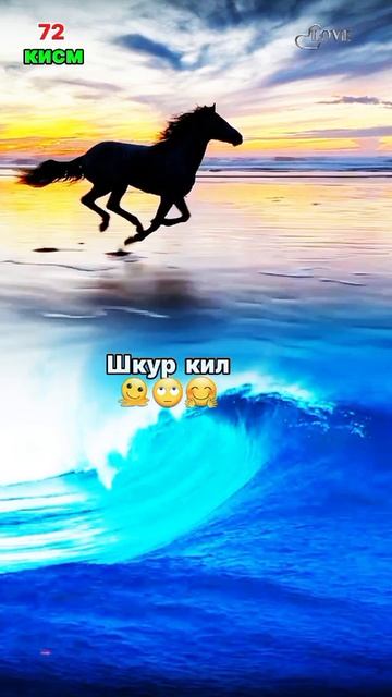 Мусибатга сабр Хурсандчилика шкур кил 🌺 🌻 🪺