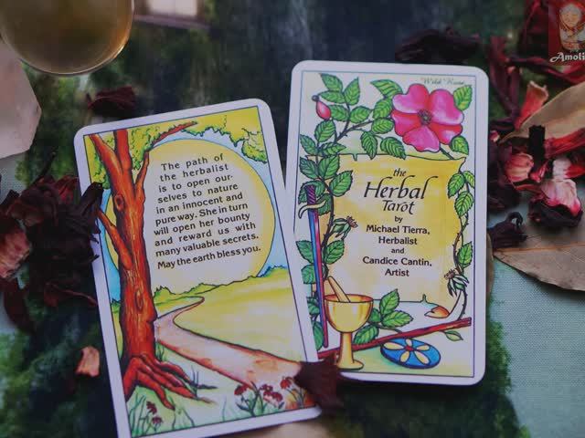 #68 галерея The Herbal Tarot. (Таро Растений / Растительное Таро)