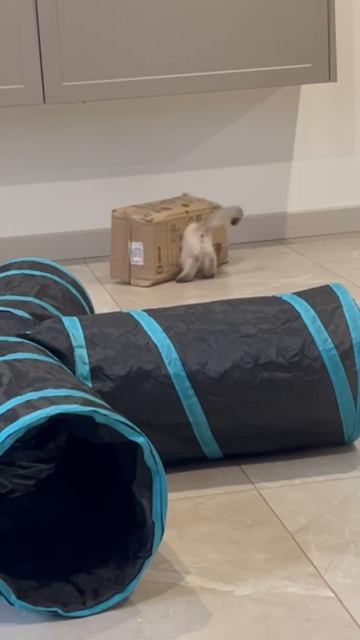 Обустройство гнезда