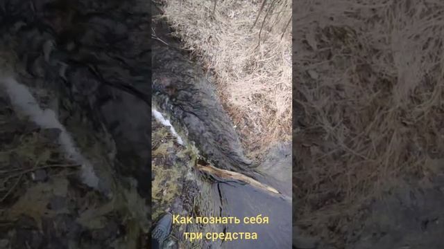 Как познать себя три средства Роберт Адамс