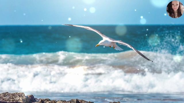 АСМР Слушать звуки волн, крики чаек и классической музыки/ Звук для расслабления, сна и медитации