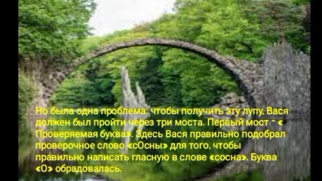 Фарзулаева-видеоролики-2025-2