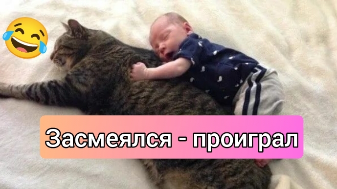 Смешные видео | приколы с животными #8