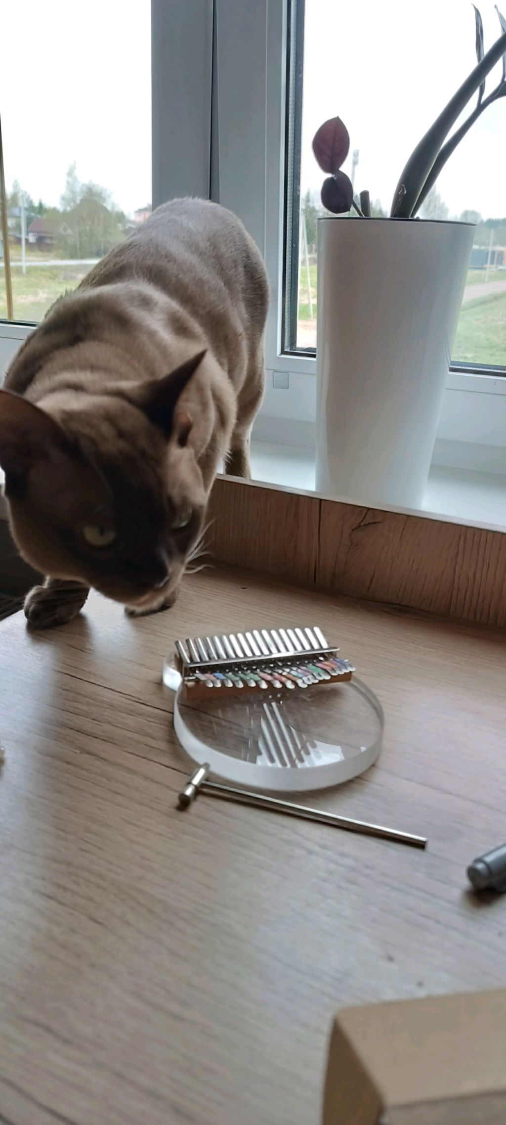 Про калимбу, будем играть мелодию