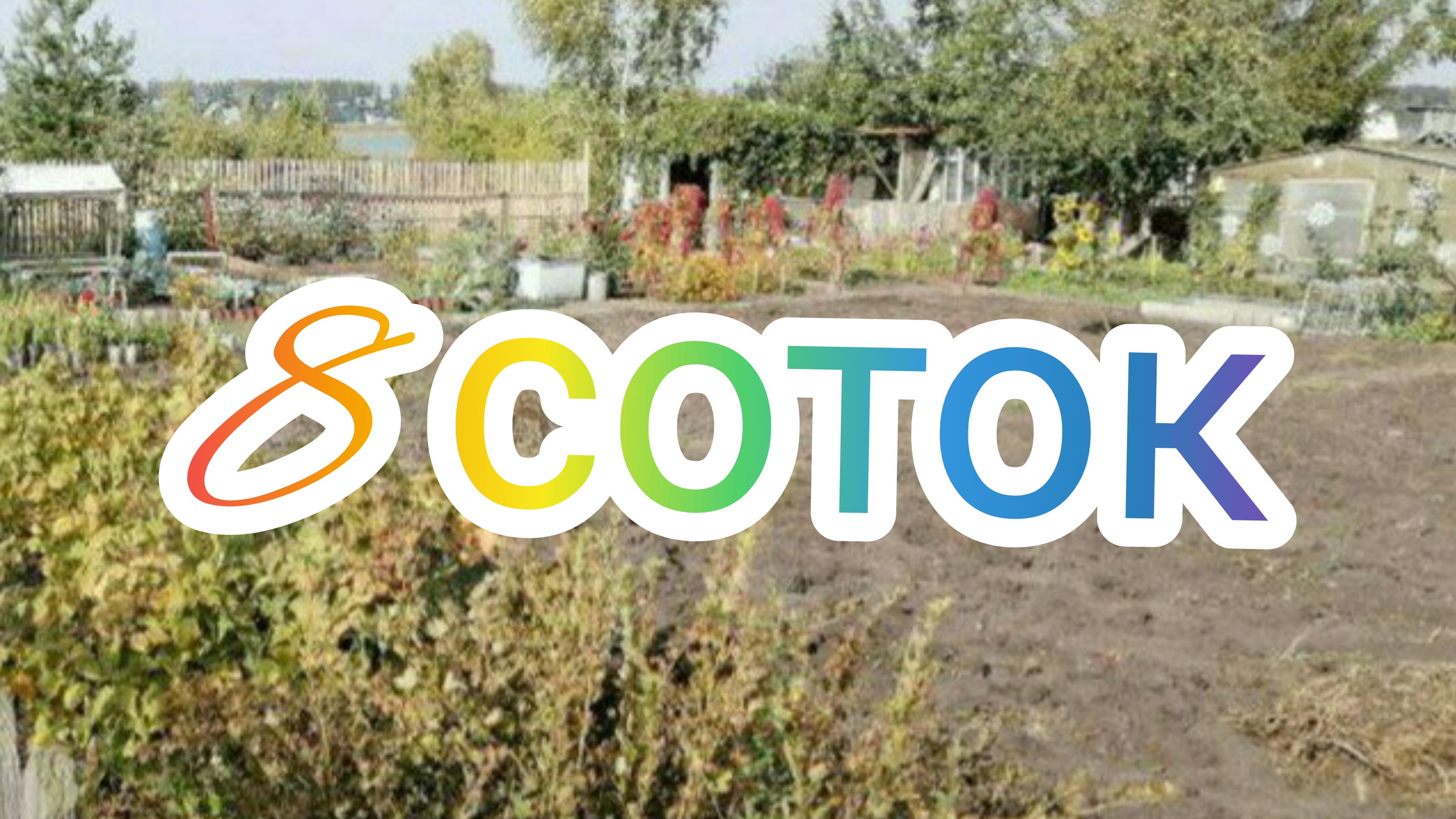 8 соток life//КАРАУЛ! ГРУШУ СЪЕЛИ ГУСЕНИЦЫ🐛😳🫣//ВЫКОРЧЁВЫВАНИЕ СОРНЯКОВ ЗАРАСТАЮЩЕГО УЧАСТКА