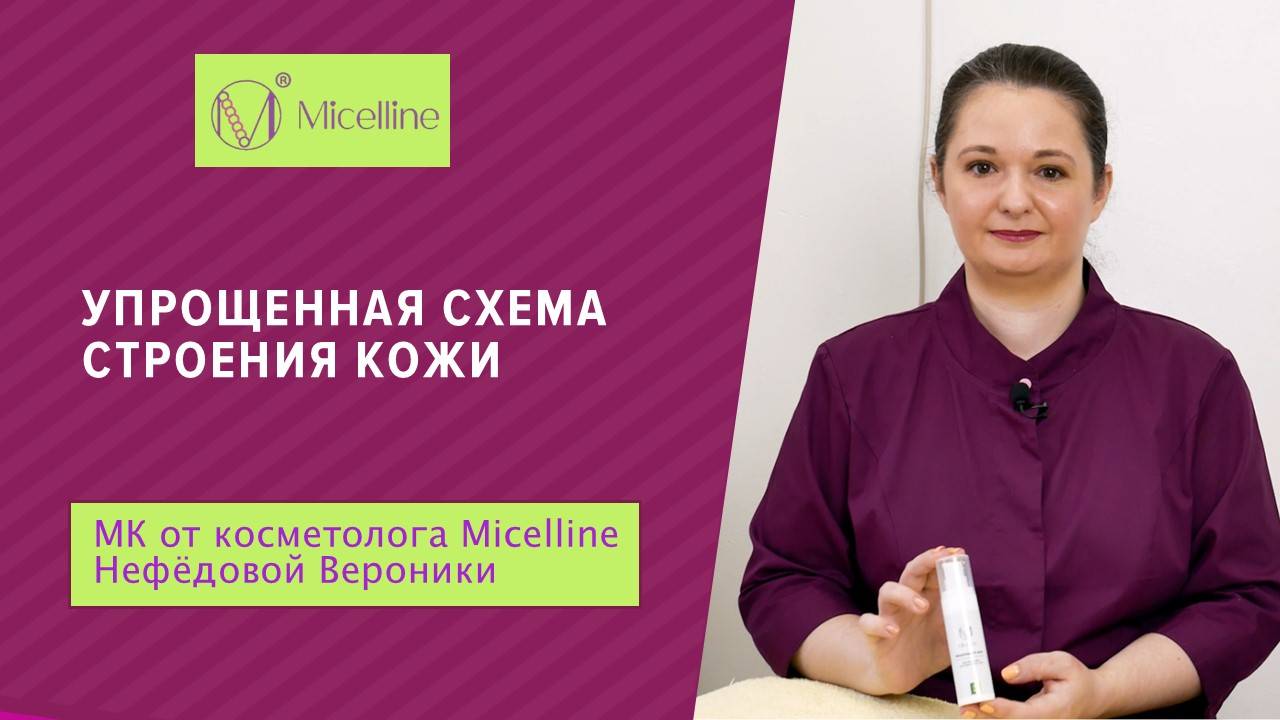 Упрощенная схема строения кожи