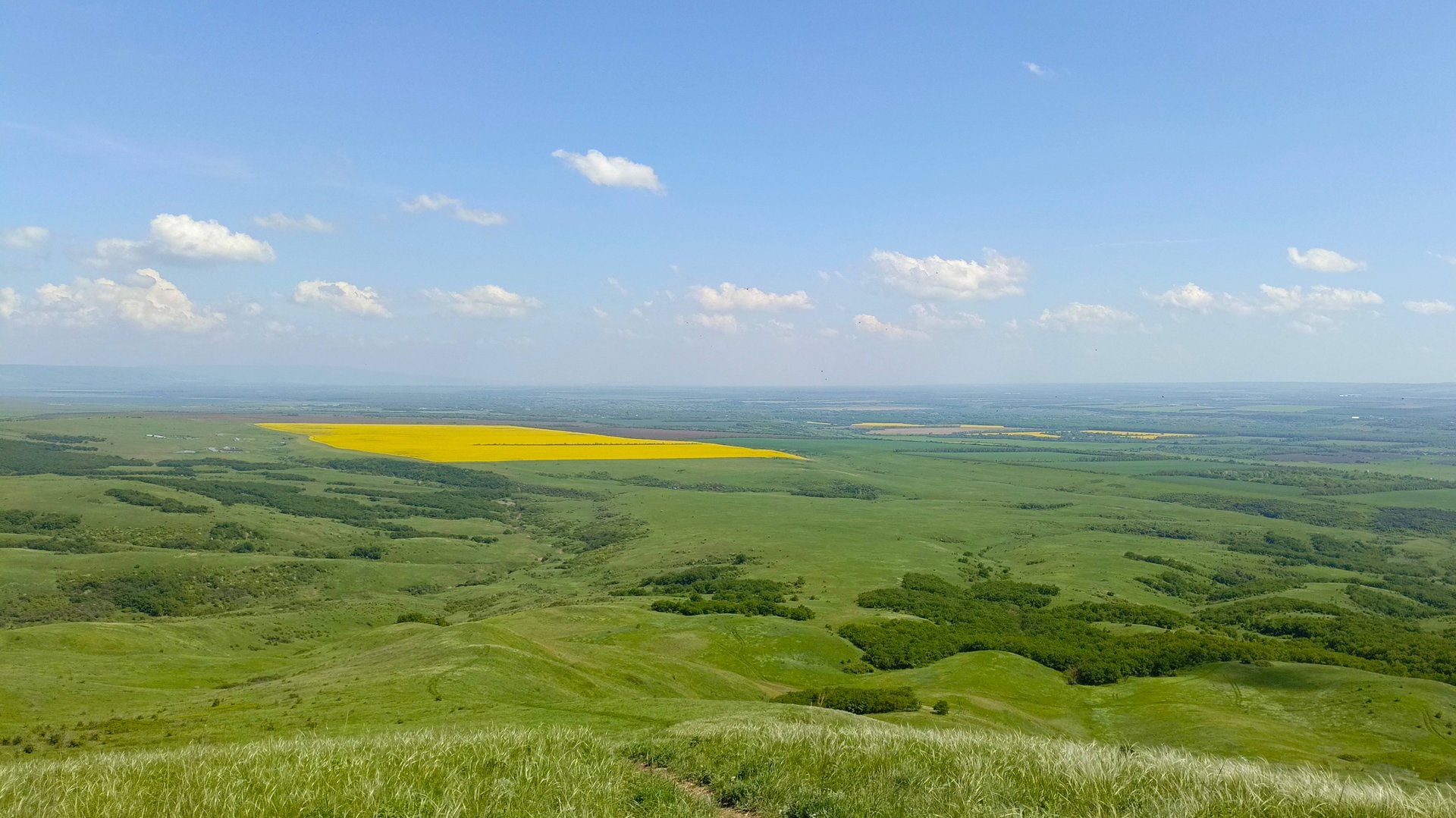 Русское поле.