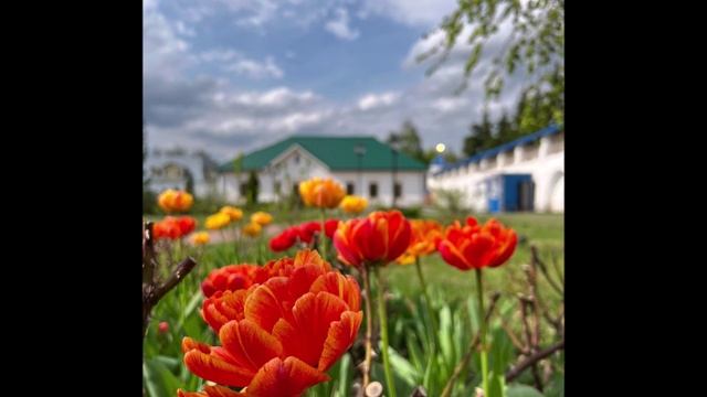 "ПОД ПОКРОВОМ ВИДИМОСТИ"... (Фото Вадима КОТОВА (Рязань), музыка - "BLANK and JONES" (Германия)