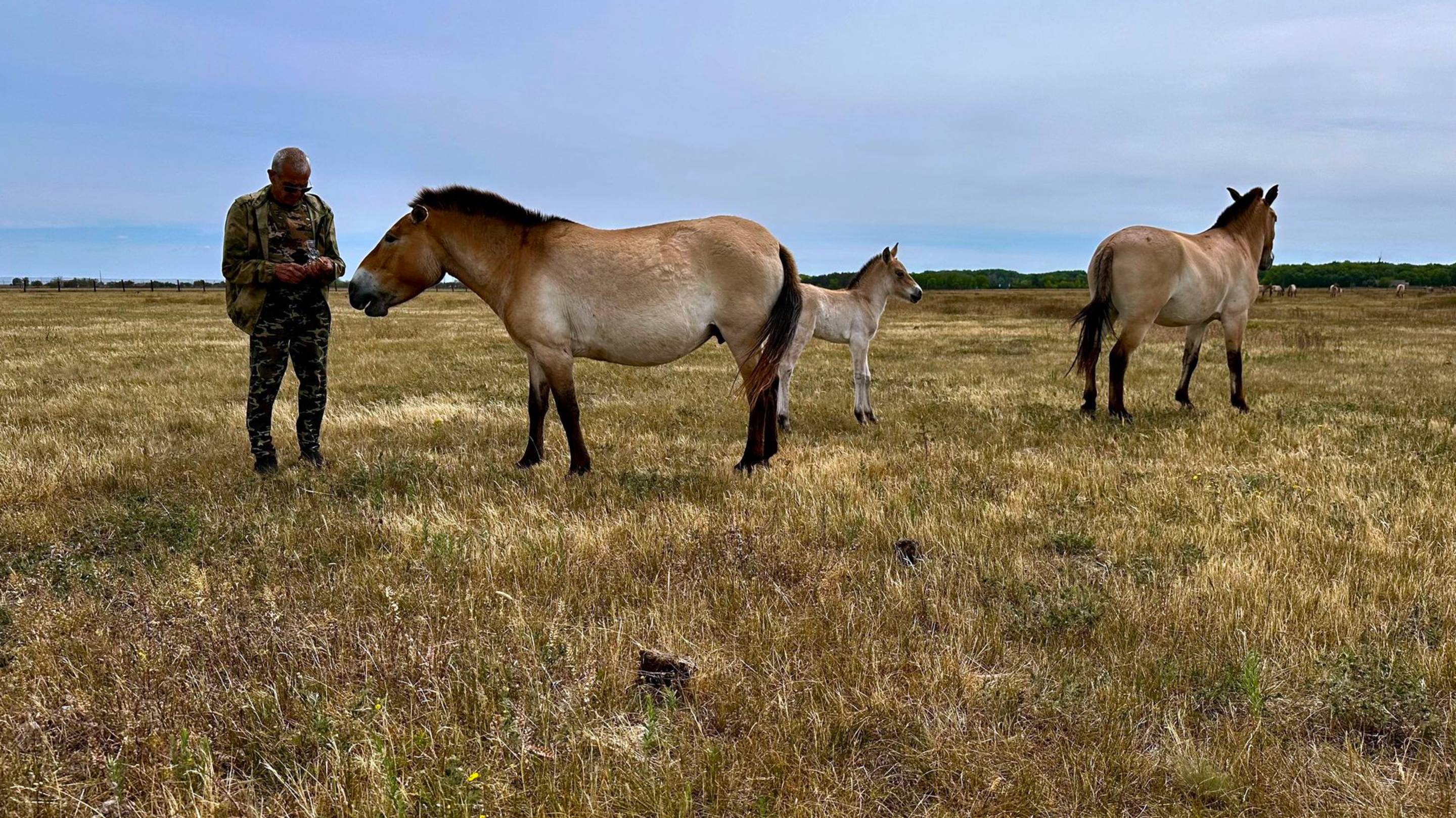 Заповедник "Аскания-Нова" Индивидуальная экскурсия с персональным гидом.