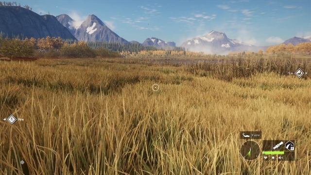 Охота на уток.