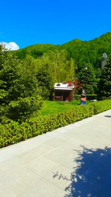 "Галактика".Территория.Красная Поляна.16.05.25.