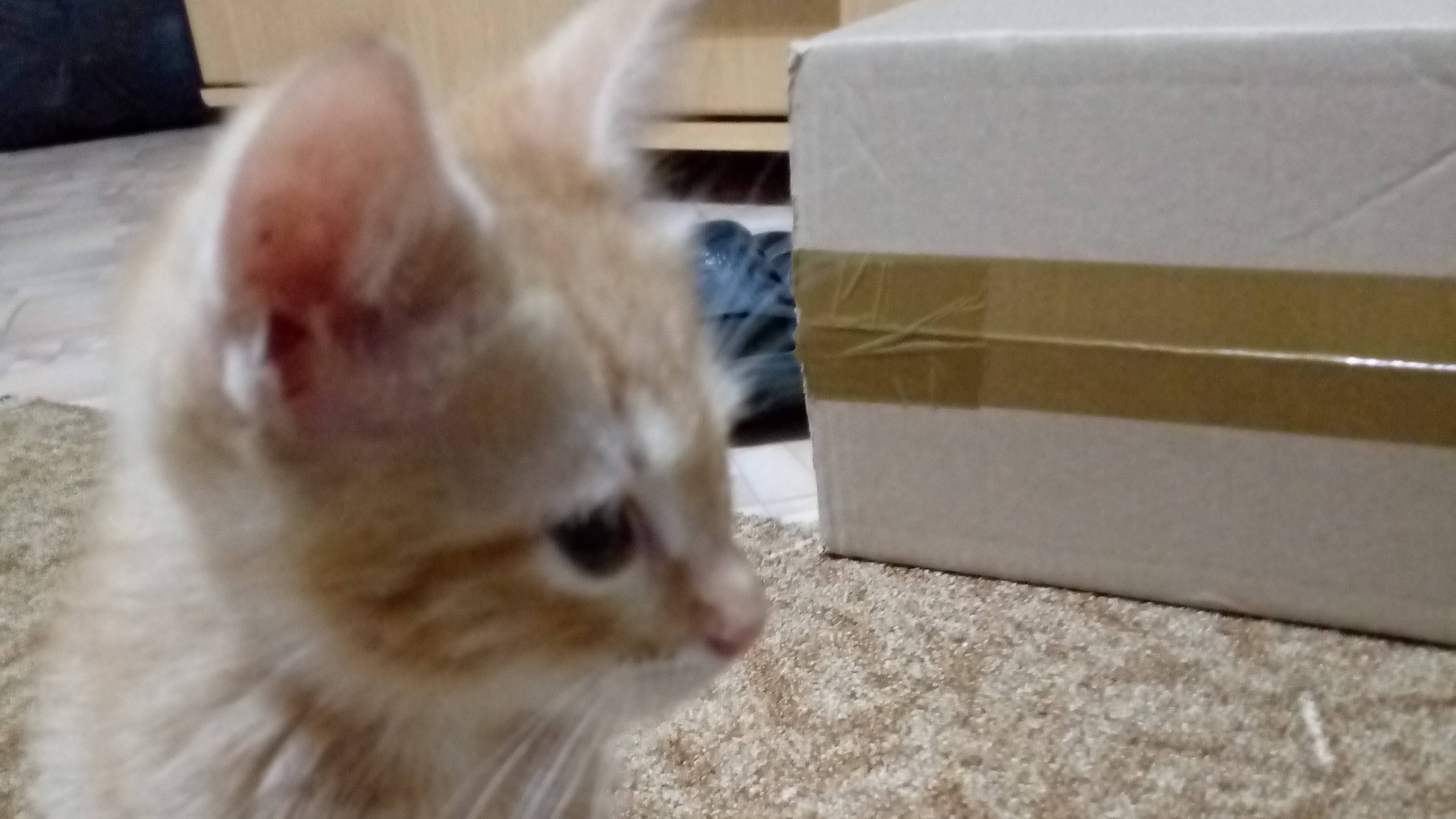 Город коробок 1