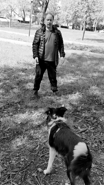 БК Шерл - левый флип