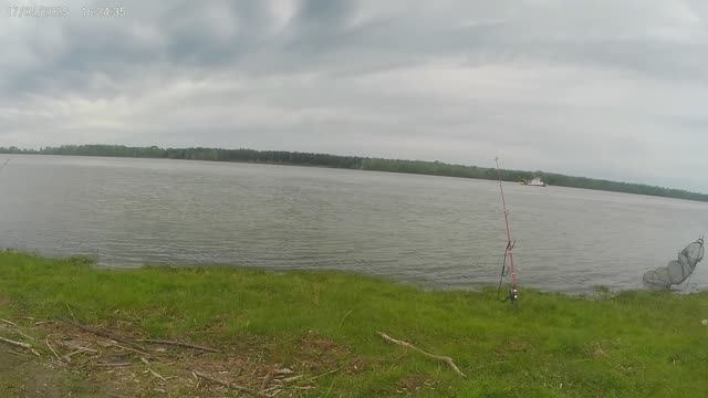 Как поймать мирную рыбу. День первый.