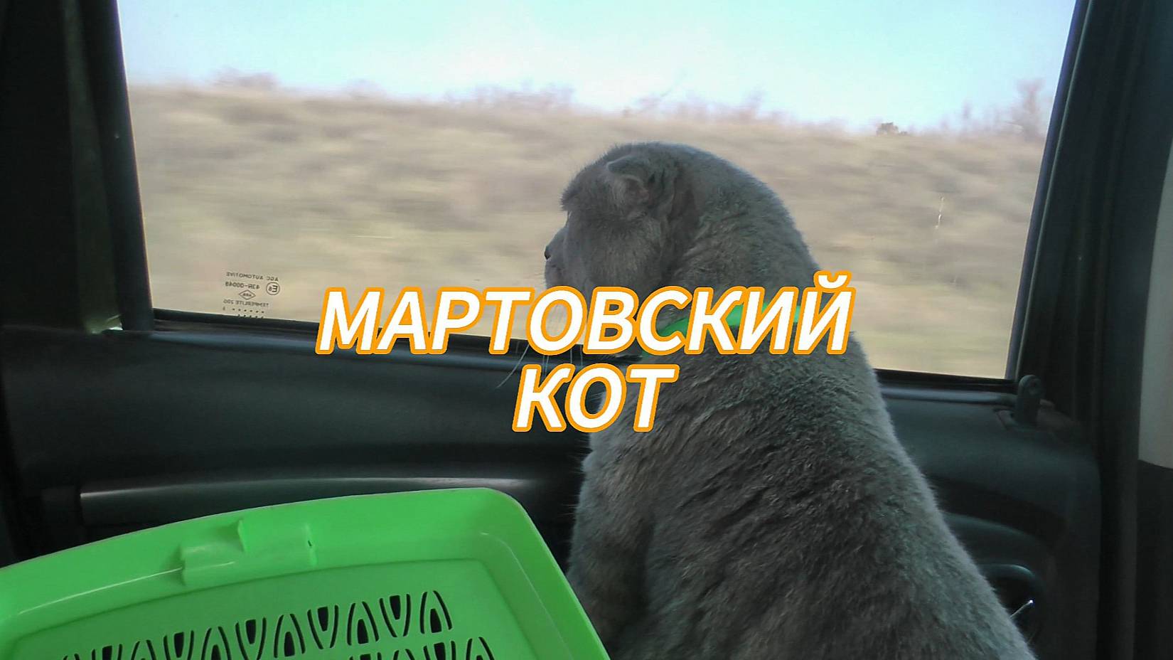 4. Котосериал Барсяткин. 2 сезон. ВЕСНА. 1 серия. Мартовский кот