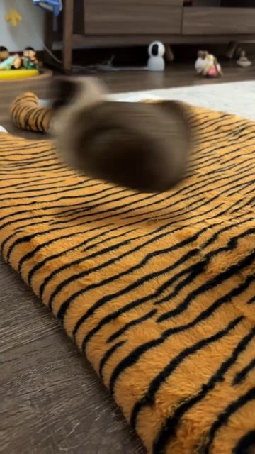 сиамский движ упиияте