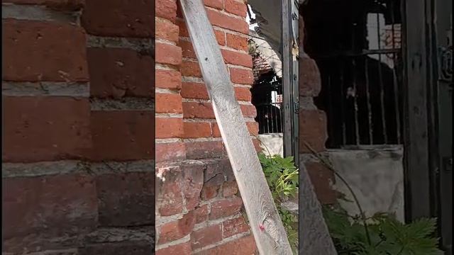 Видео и стихи о нашем храме от нашего батюшки Александра