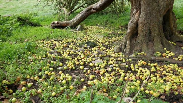 «Холодно» Григорий Борзенко