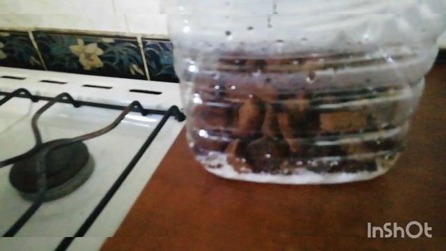 Домашний квас ( без дрожжей ) - сахар, хлеб, вода.