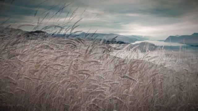 Сильнейший Гладиатор - Завораживающая музыка из фильма Гладиатор, фоновая музыка для отдыха