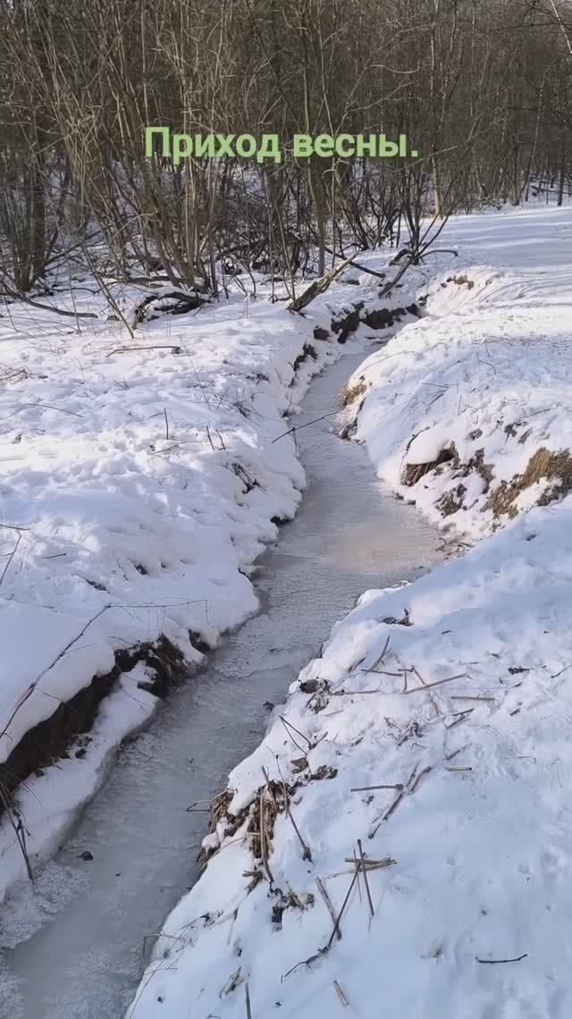 А Вы будете скучать по снежно-ледяным шедеврам скульптора Мороза?