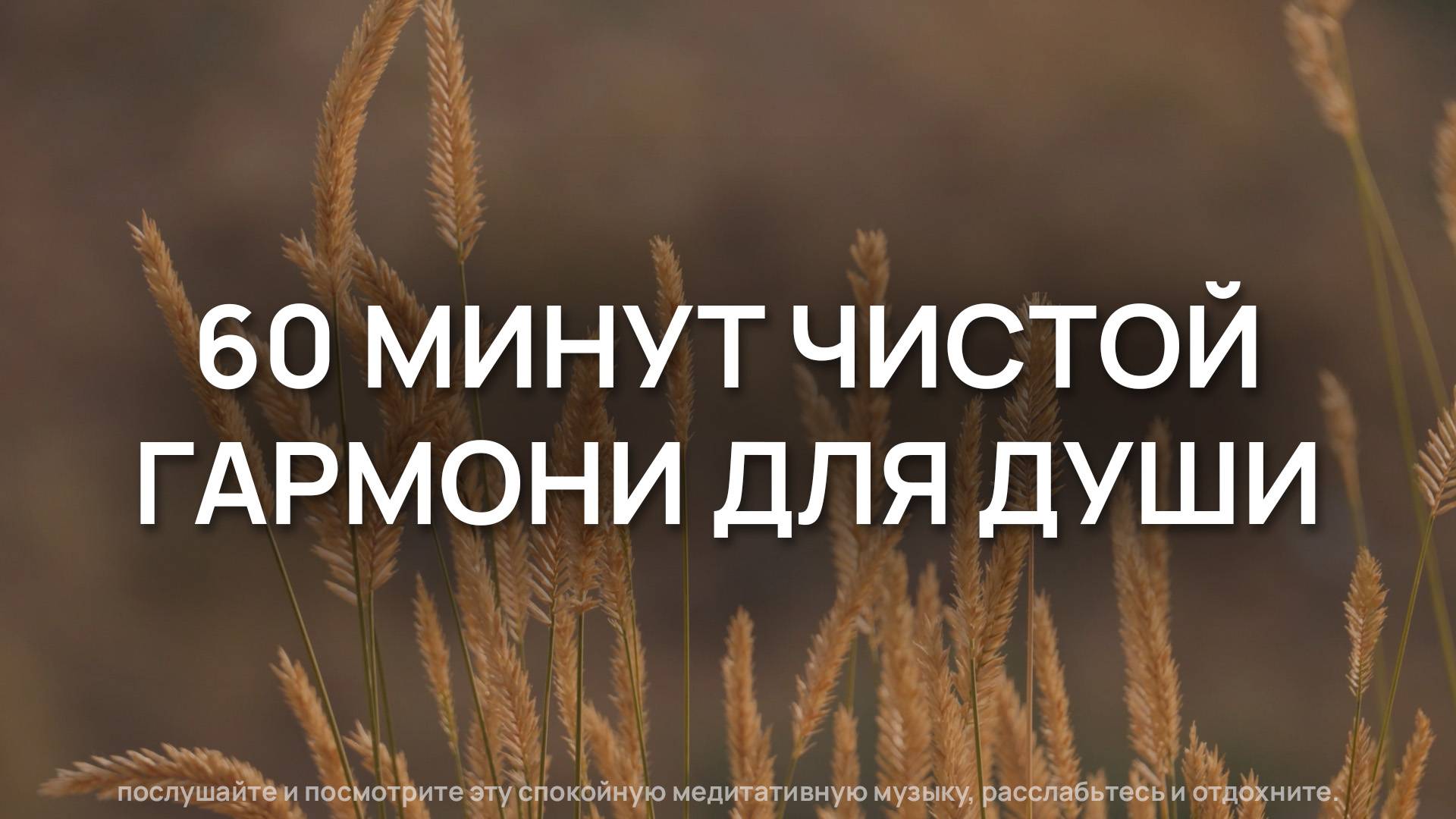 60 минут чистой гармонии. Музыка для души, снятия стресса и глубокого релакса. Остановись.