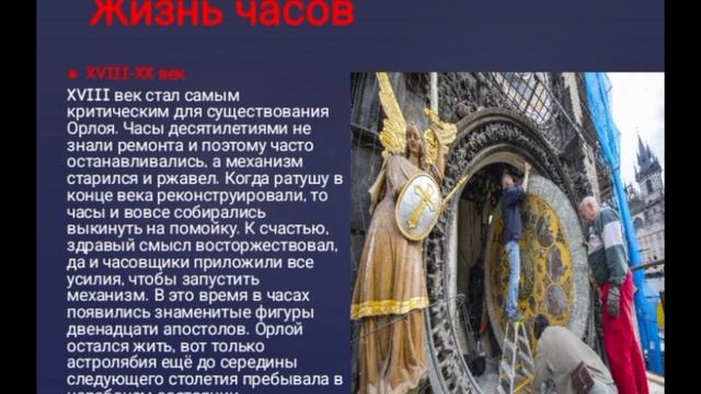 Фарзулаева-видеоролики-2025