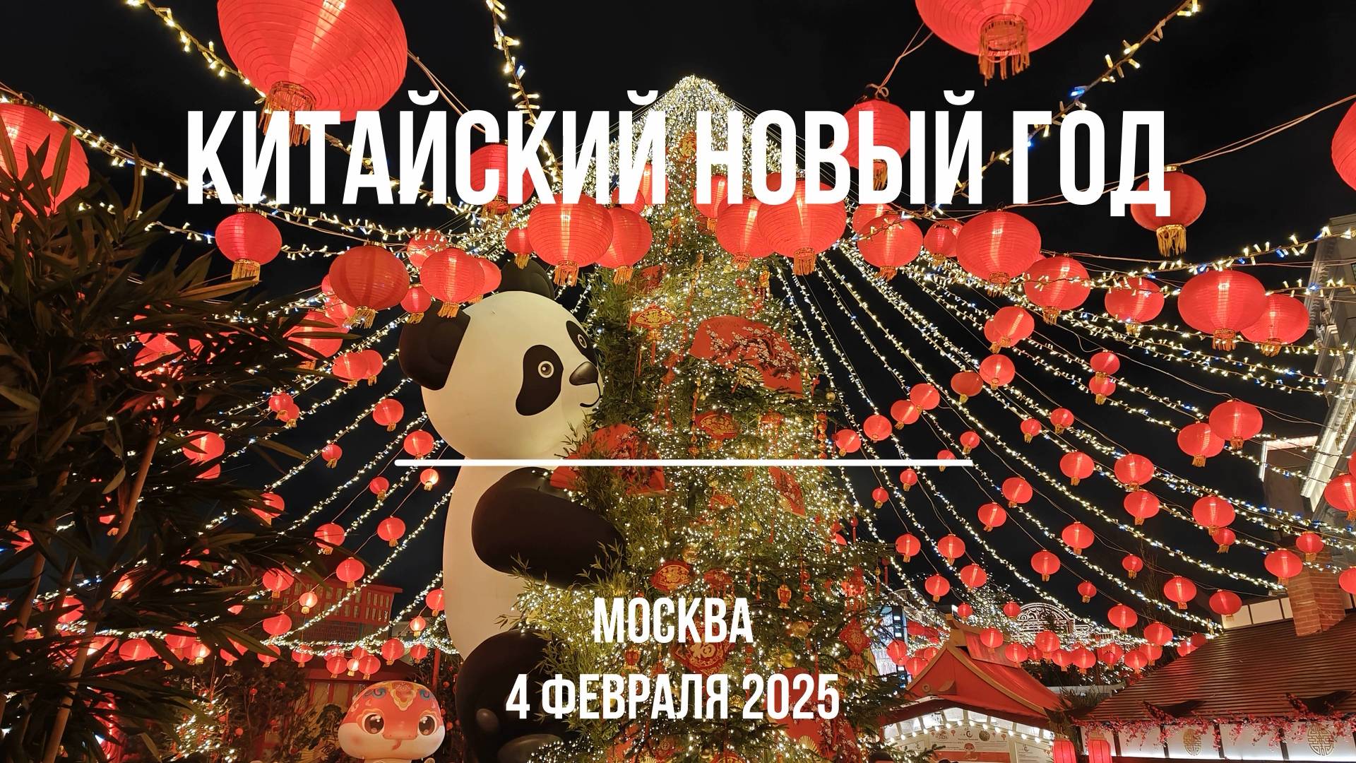 Китайский Новый Год в Москве (4 февраля 2025)