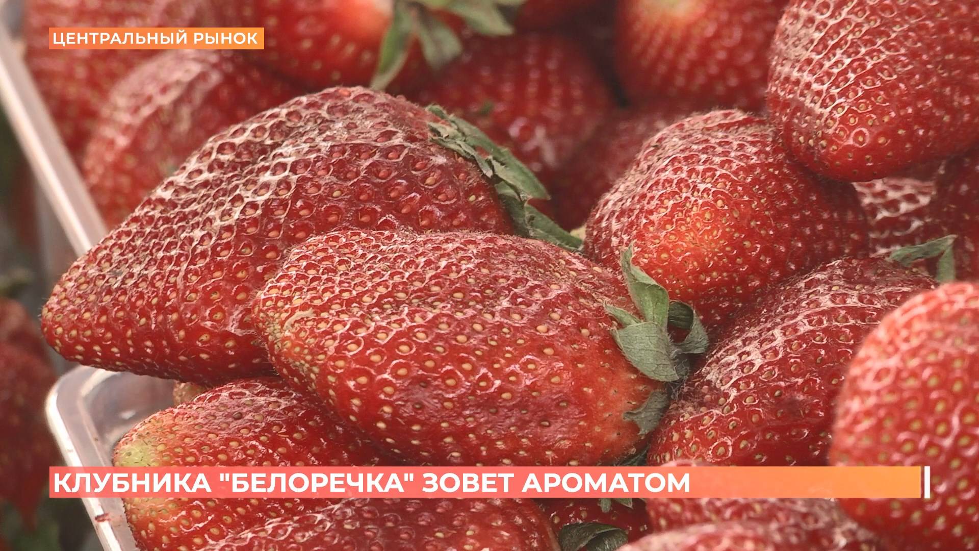 Старый базар. 17 мая 2025